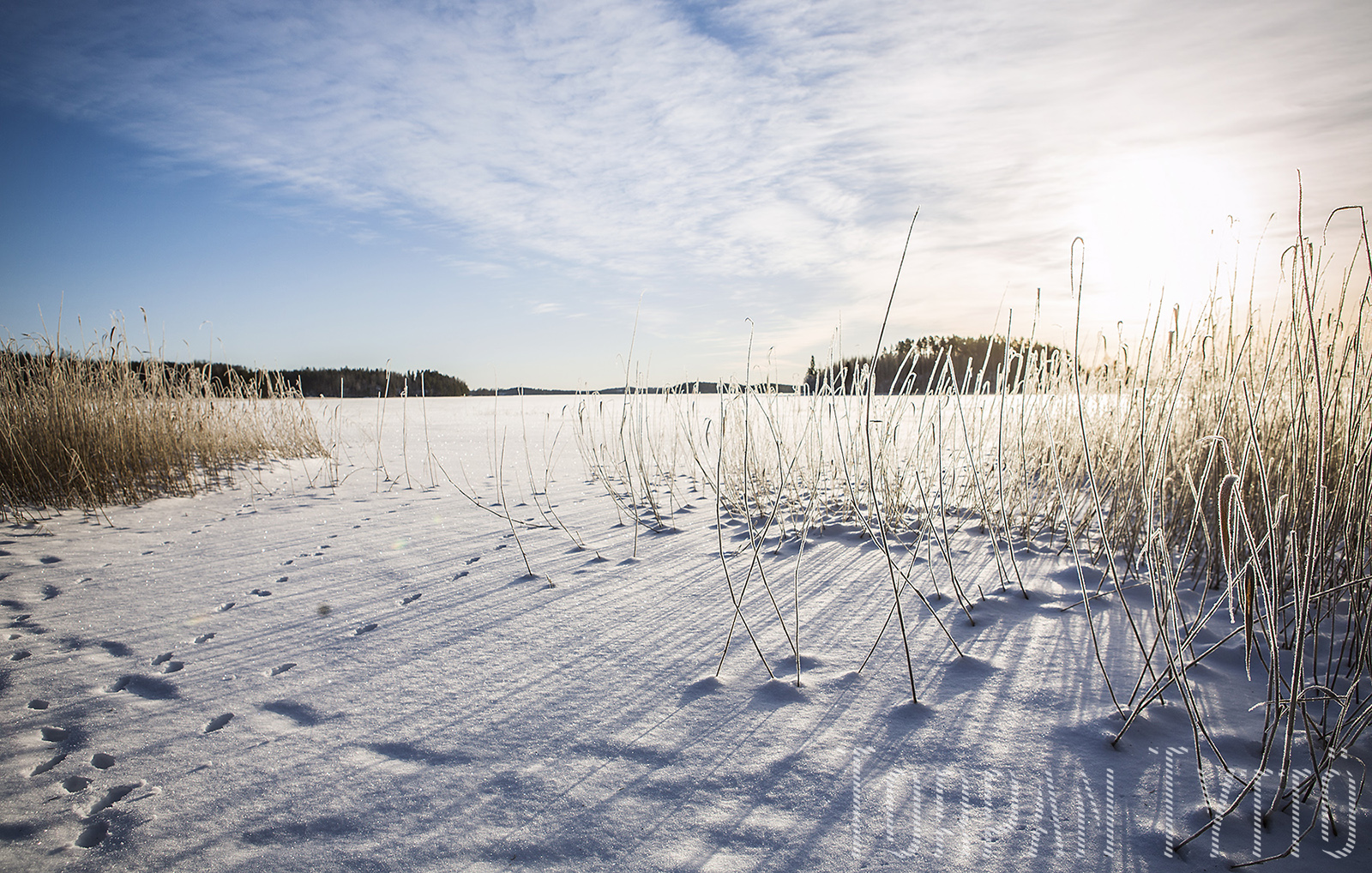 Valokuvaus – Torpan Tyttö