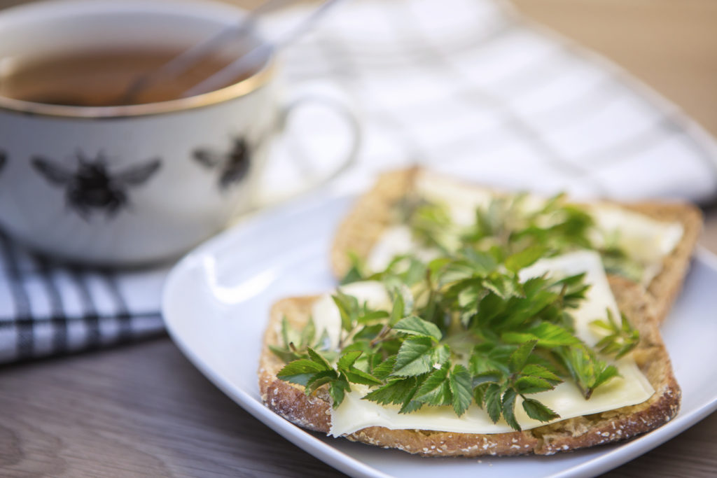 Kevät – Torpan Tyttö